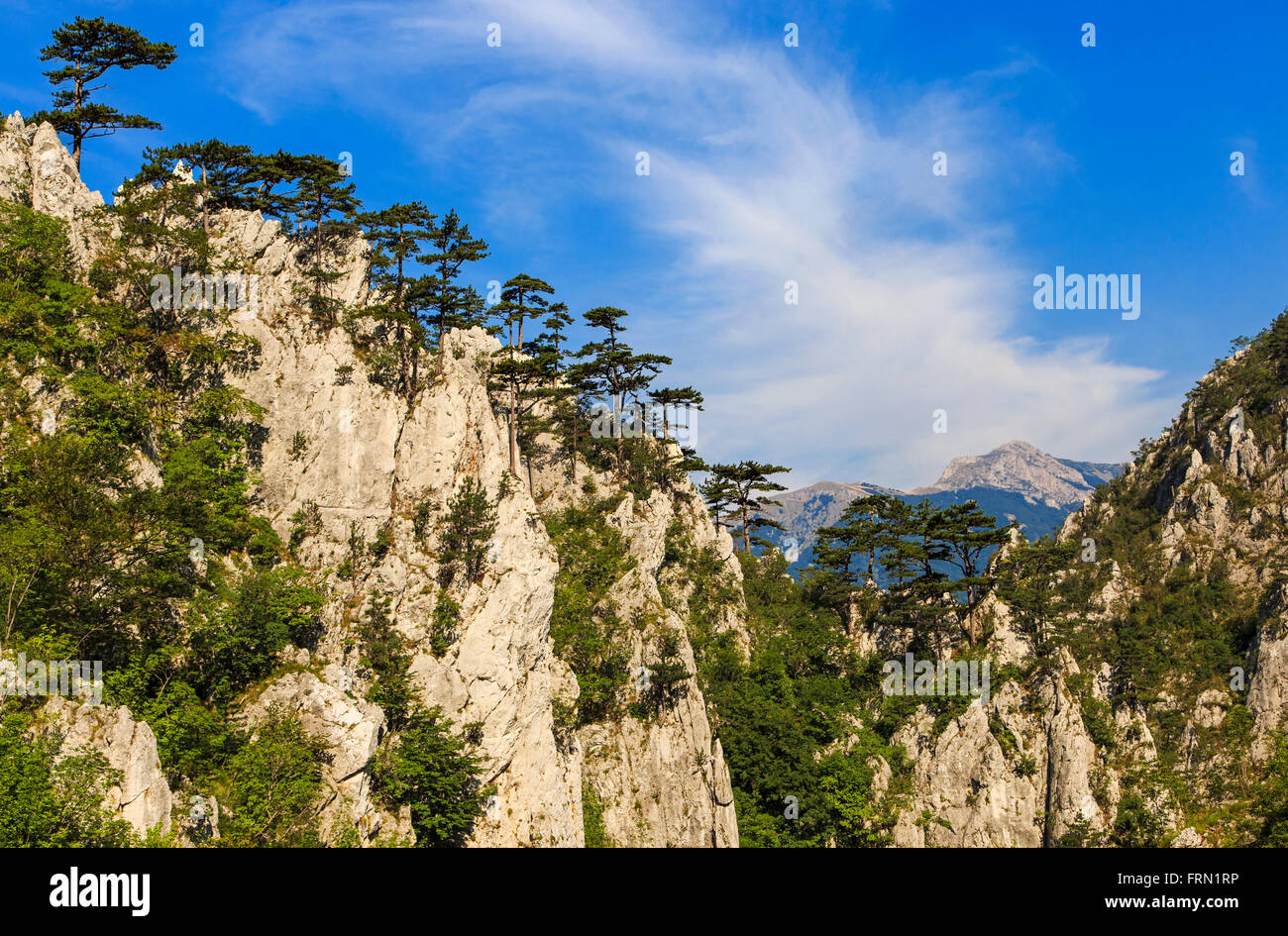 Limestone gorge protected area in Romania Stock Photo - Alamy