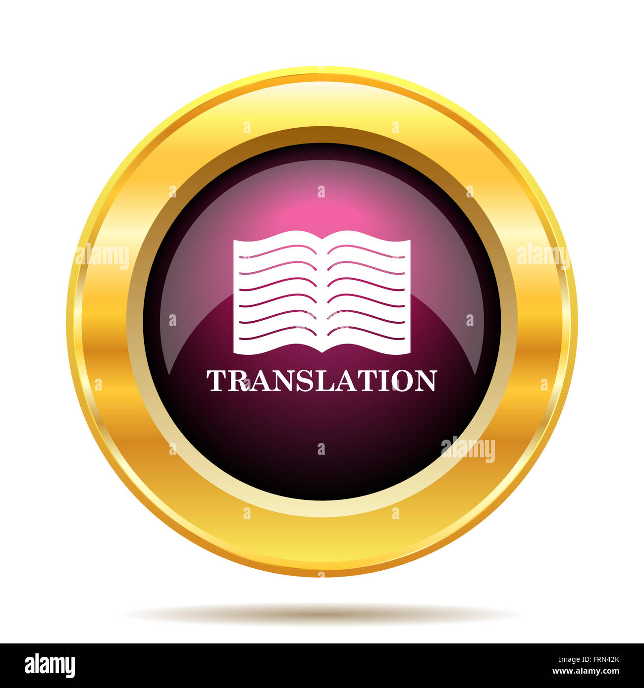 Translation book icon. Internet button on white background Stock Photo ...