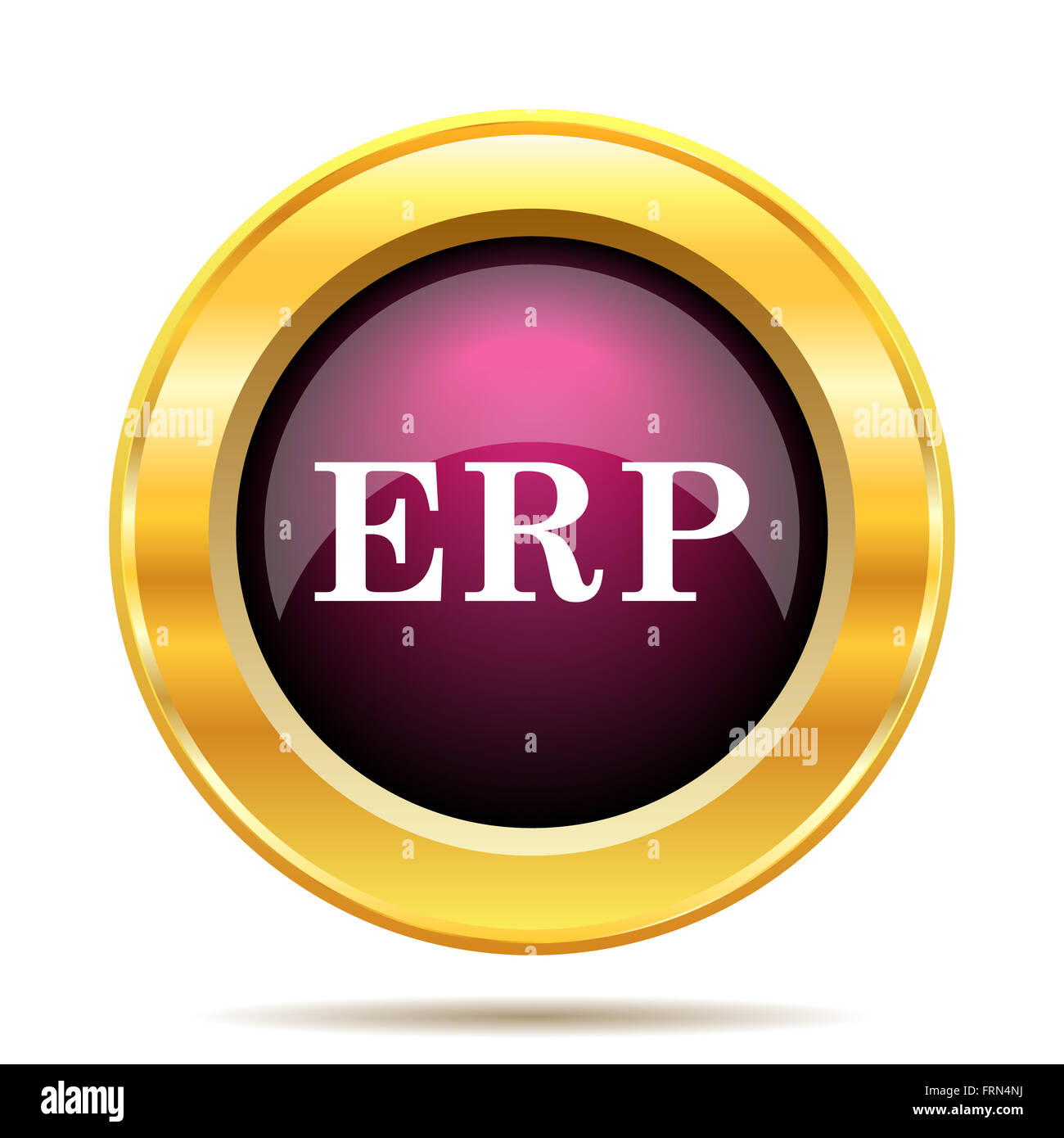 ERP icon. Internet button on white background Stock Photo - Alamy