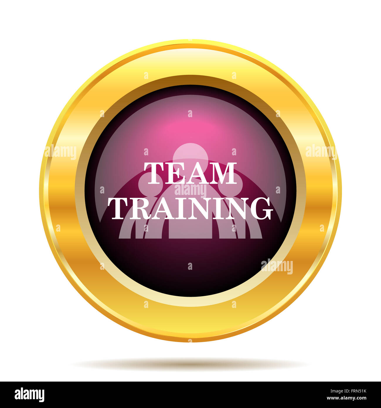 Team training icon. Internet button on white background Stock Photo - Alamy
