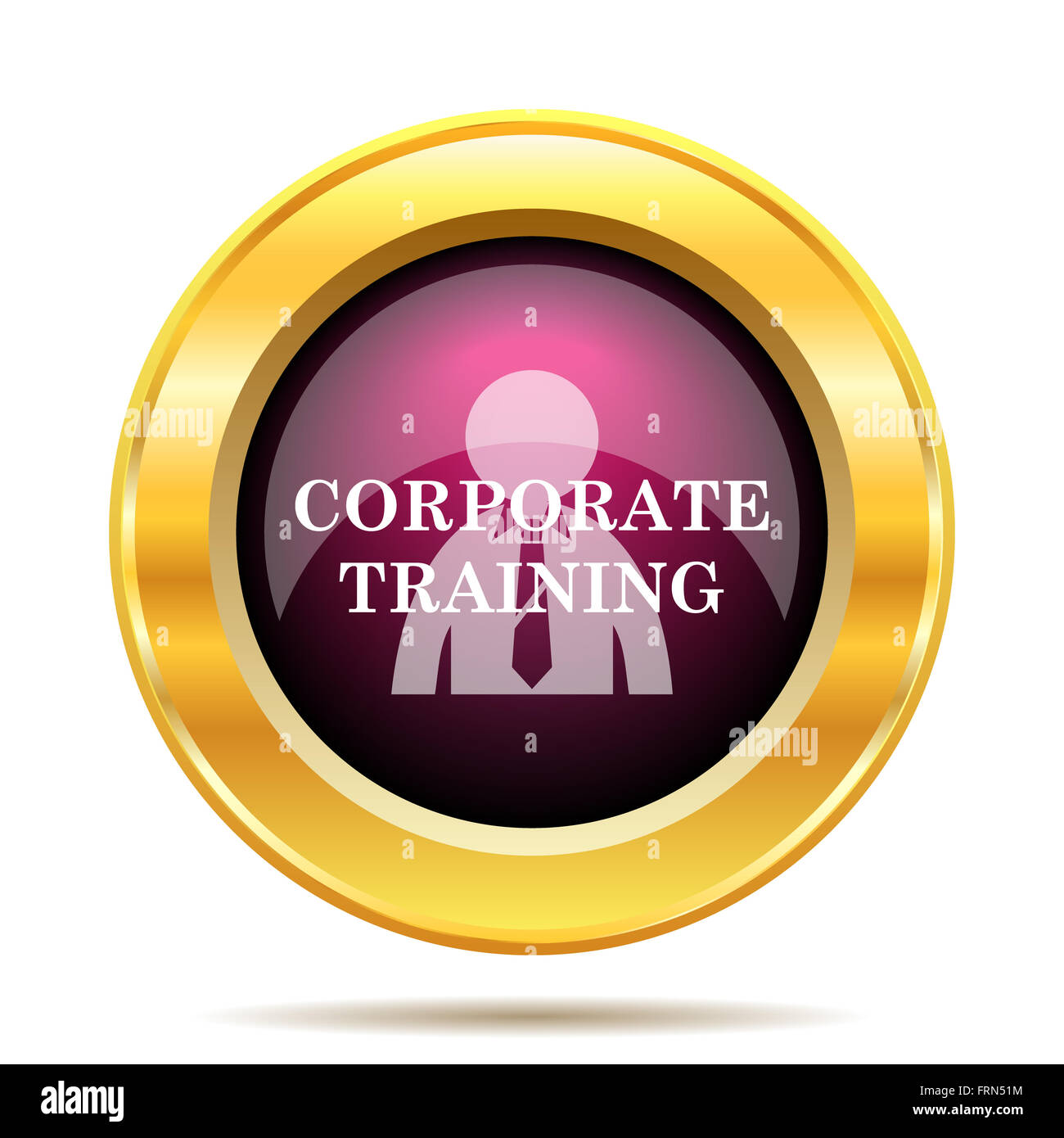 Corporate training icon. Internet button on white background Stock ...