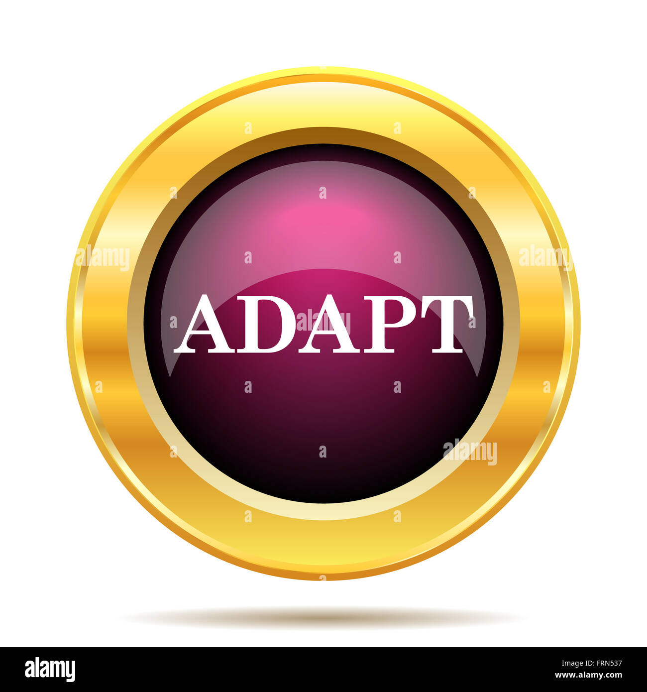 Adapt icon. Internet button on white background Stock Photo - Alamy