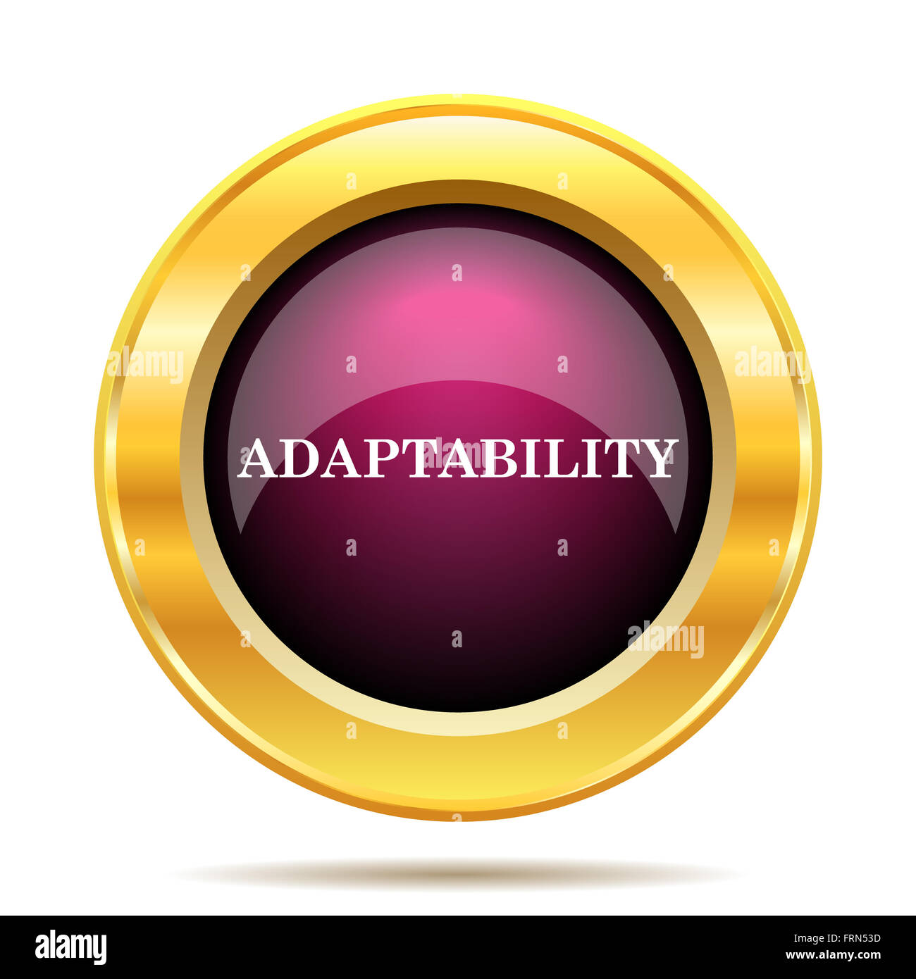 Adaptability icon. Internet button on white background Stock Photo - Alamy