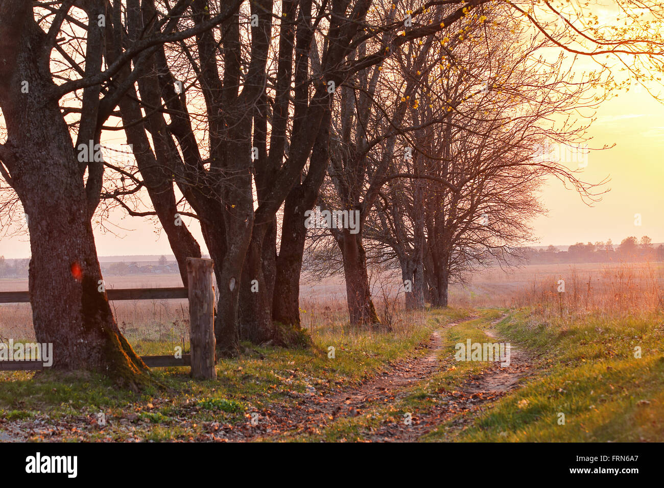 Spring countryside sunset. Old country road in the park Stock Photo - Alamy