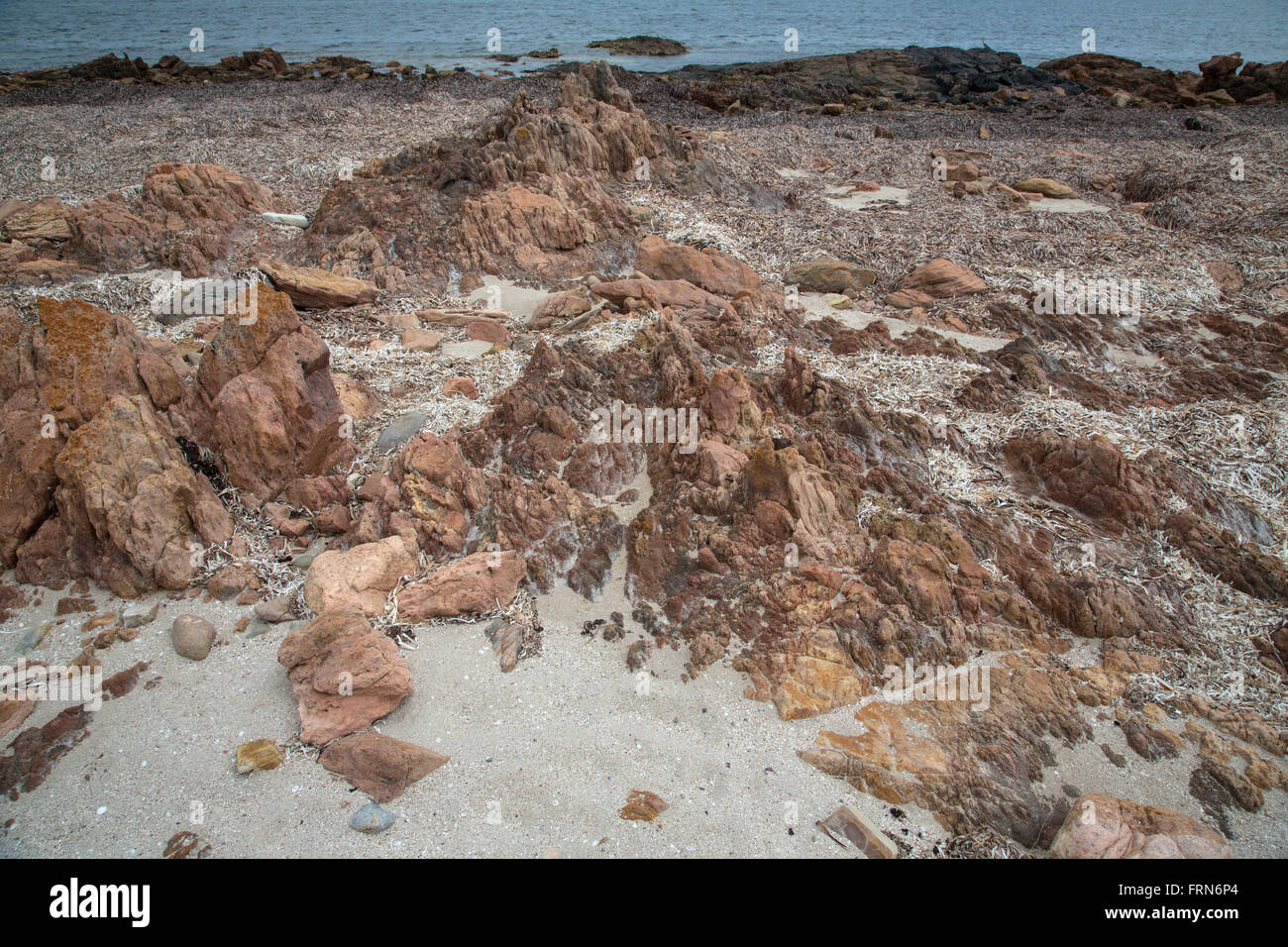 volcanic rocks on beach with sand and seaweed and waterline, Geology ...