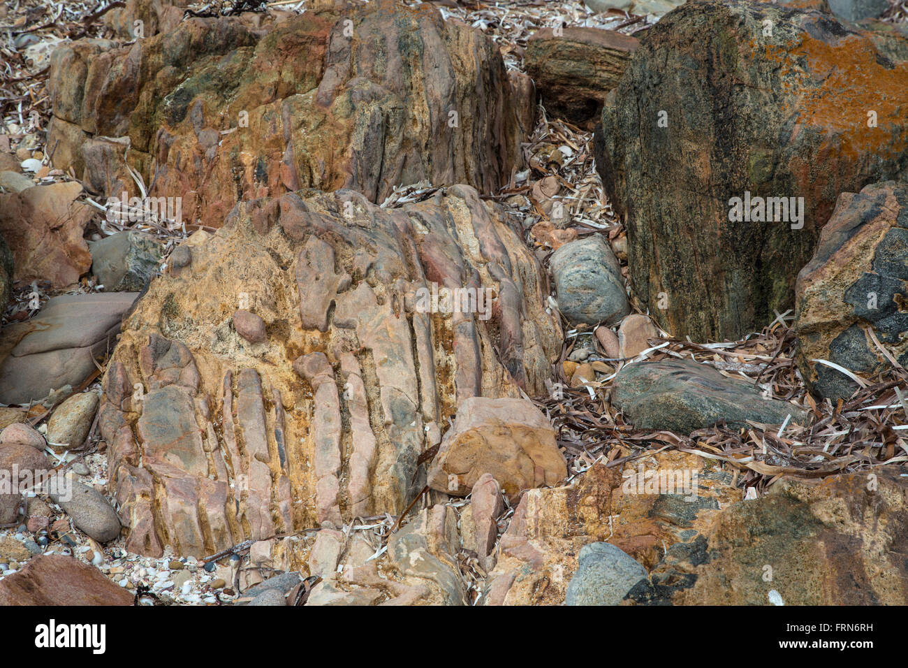 Seaweed port hi-res stock photography and images - Alamy