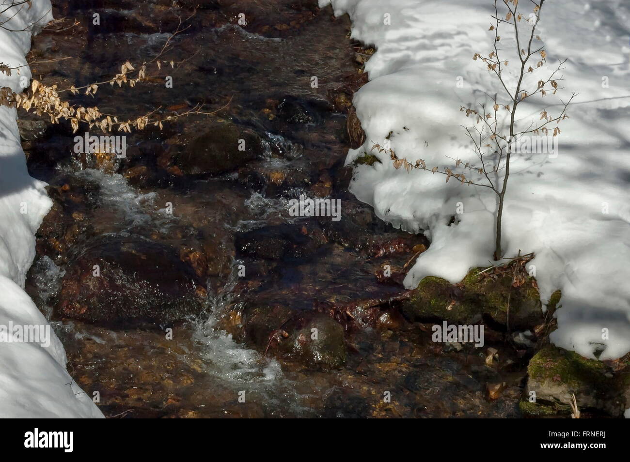 Sunlit hurry mountain stream with melt snow, Vitosha mountain, Bulgaria ...