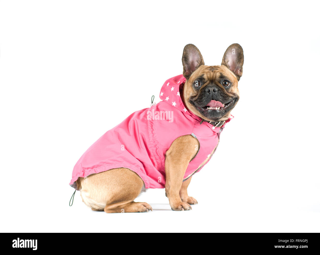 Profile black white french Cut Out Stock Images & Pictures - Alamy