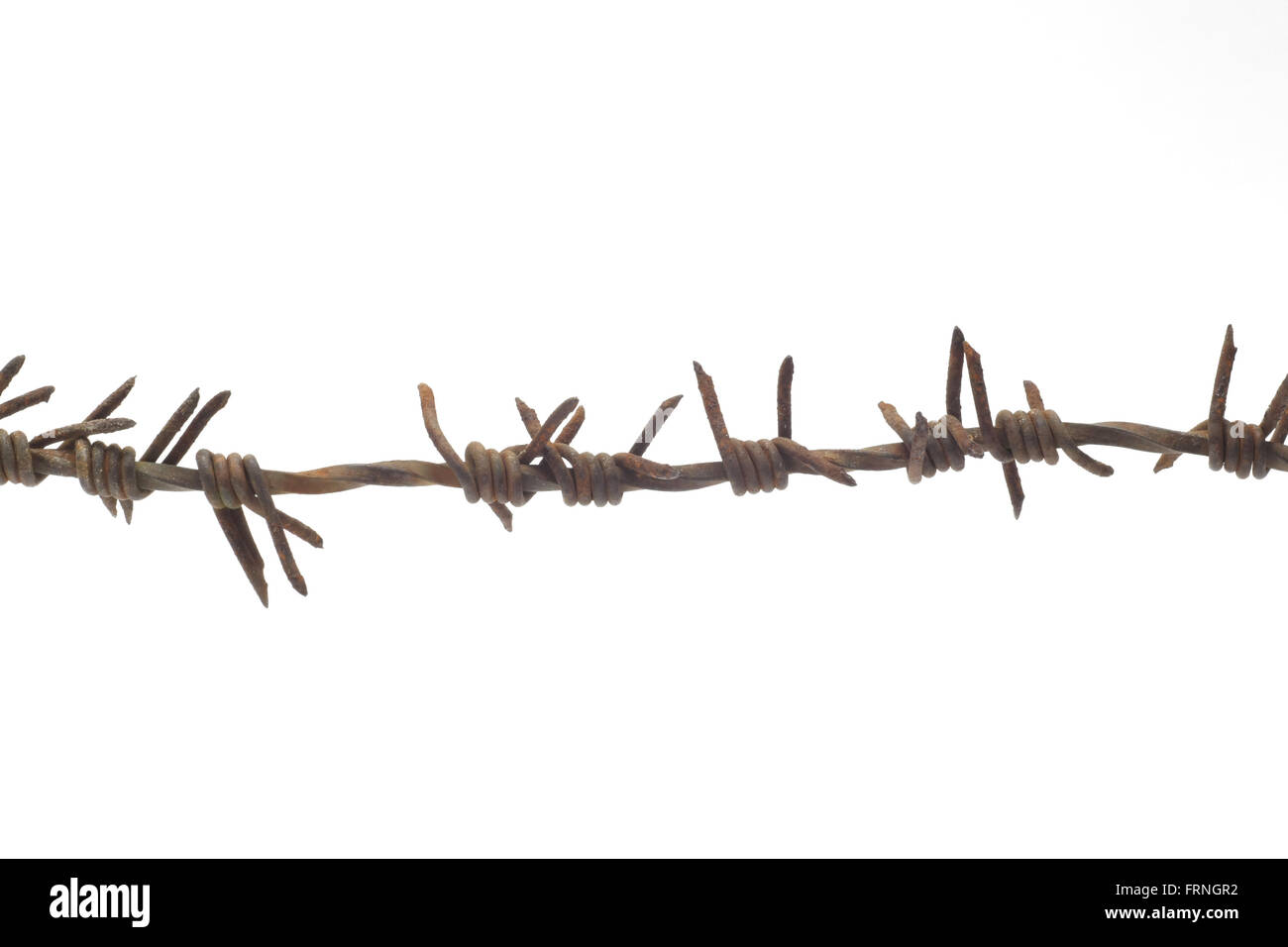 piece of the rusty barbed wire on white background Stock Photo - Alamy