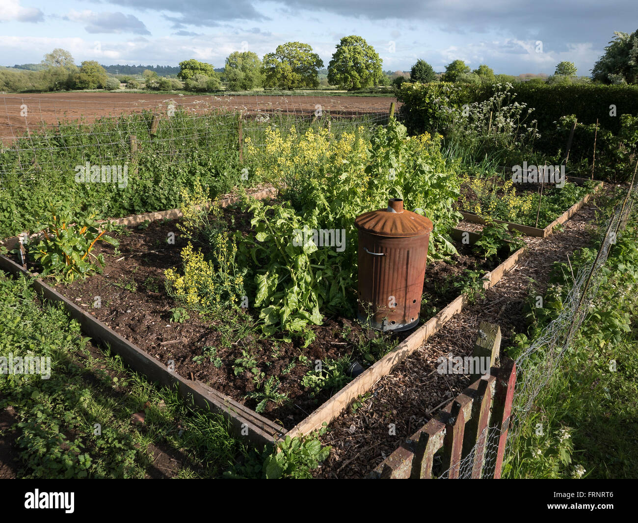 Enclosed vegetable patch hi-res stock photography and images - Alamy