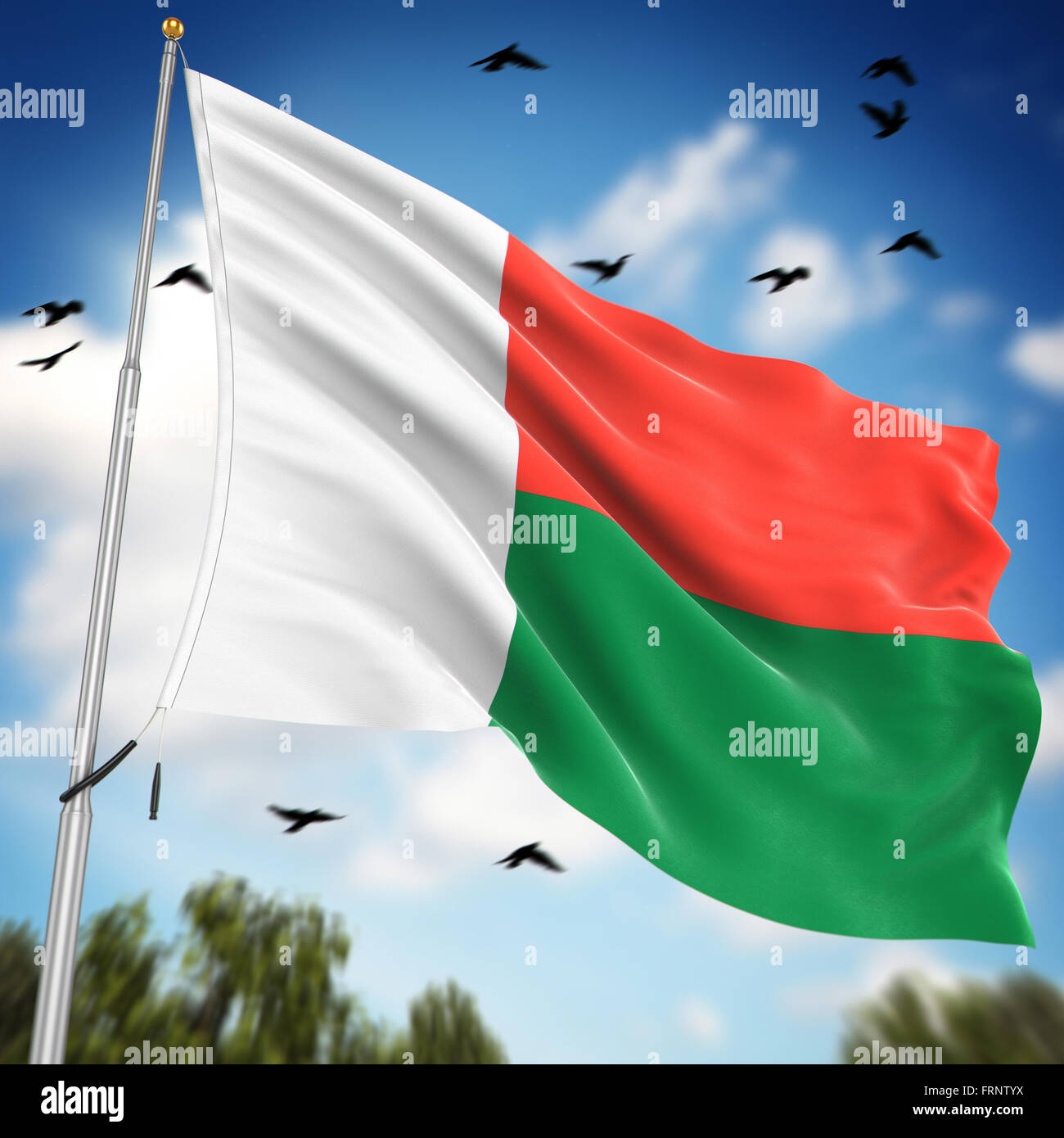Madagascar flag hi-res stock photography and images - Alamy