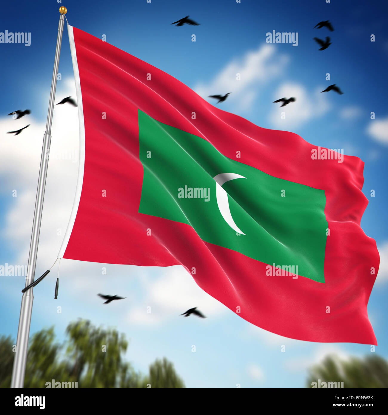 Maldives country flag hi-res stock photography and images - Alamy