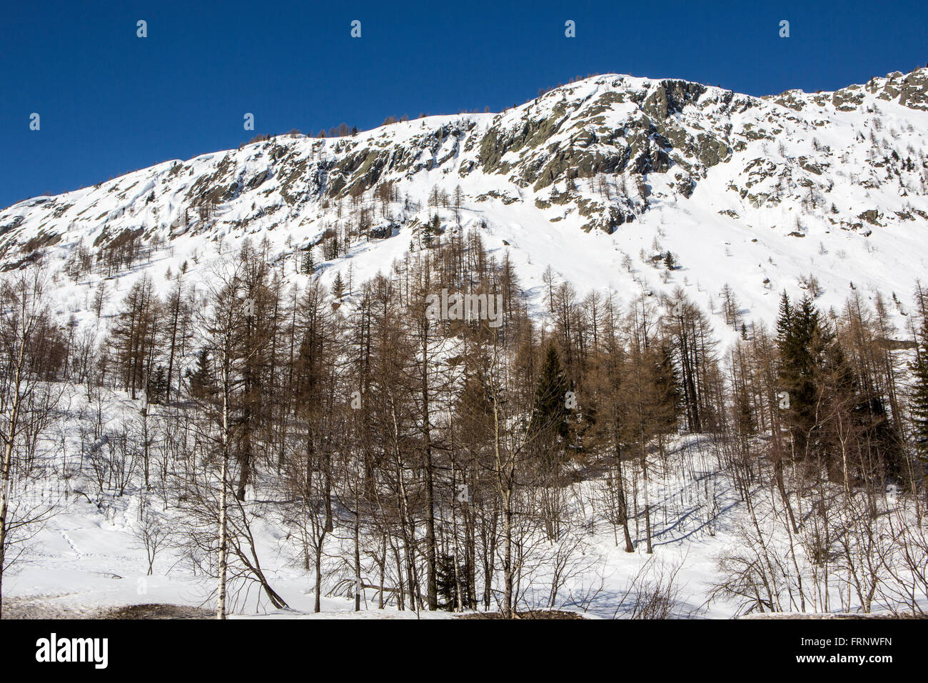 Melting snow hillside hi-res stock photography and images - Alamy