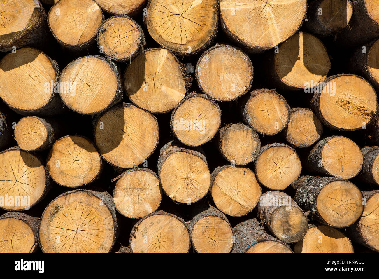 A pile of tree trunks Stock Photo - Alamy