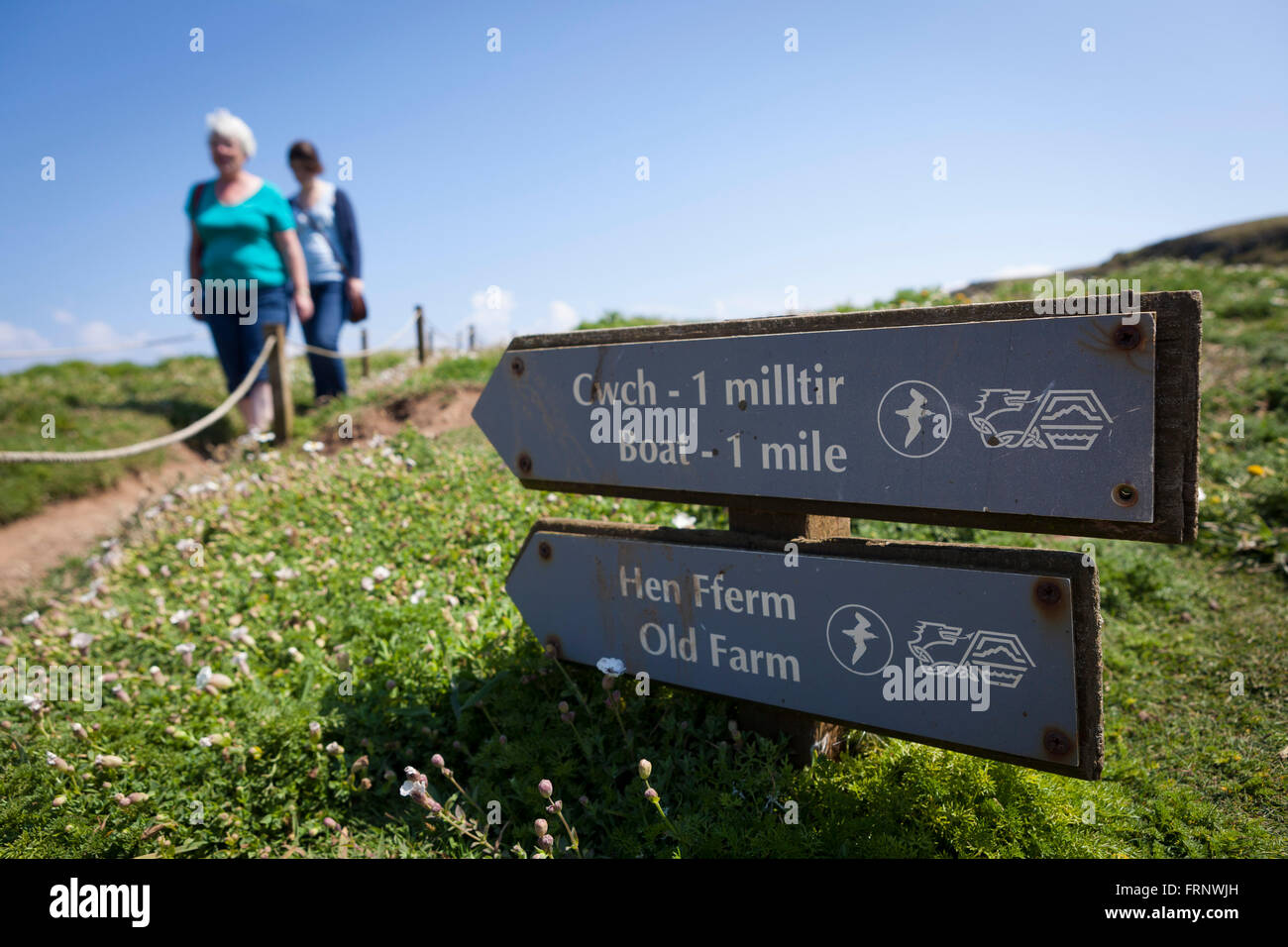 Skomer island the wick sign with puffin hi-res stock photography and ...