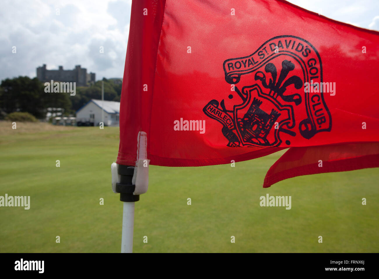 St davids flag hi-res stock photography and images - Alamy