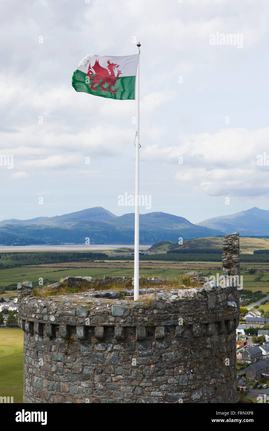 The Welsh flag flying over the walls of Harlech Castle in north Wales ...