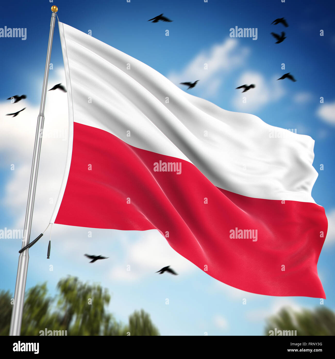 Flag of Poland , This is a computer generated and 3d rendered image ...