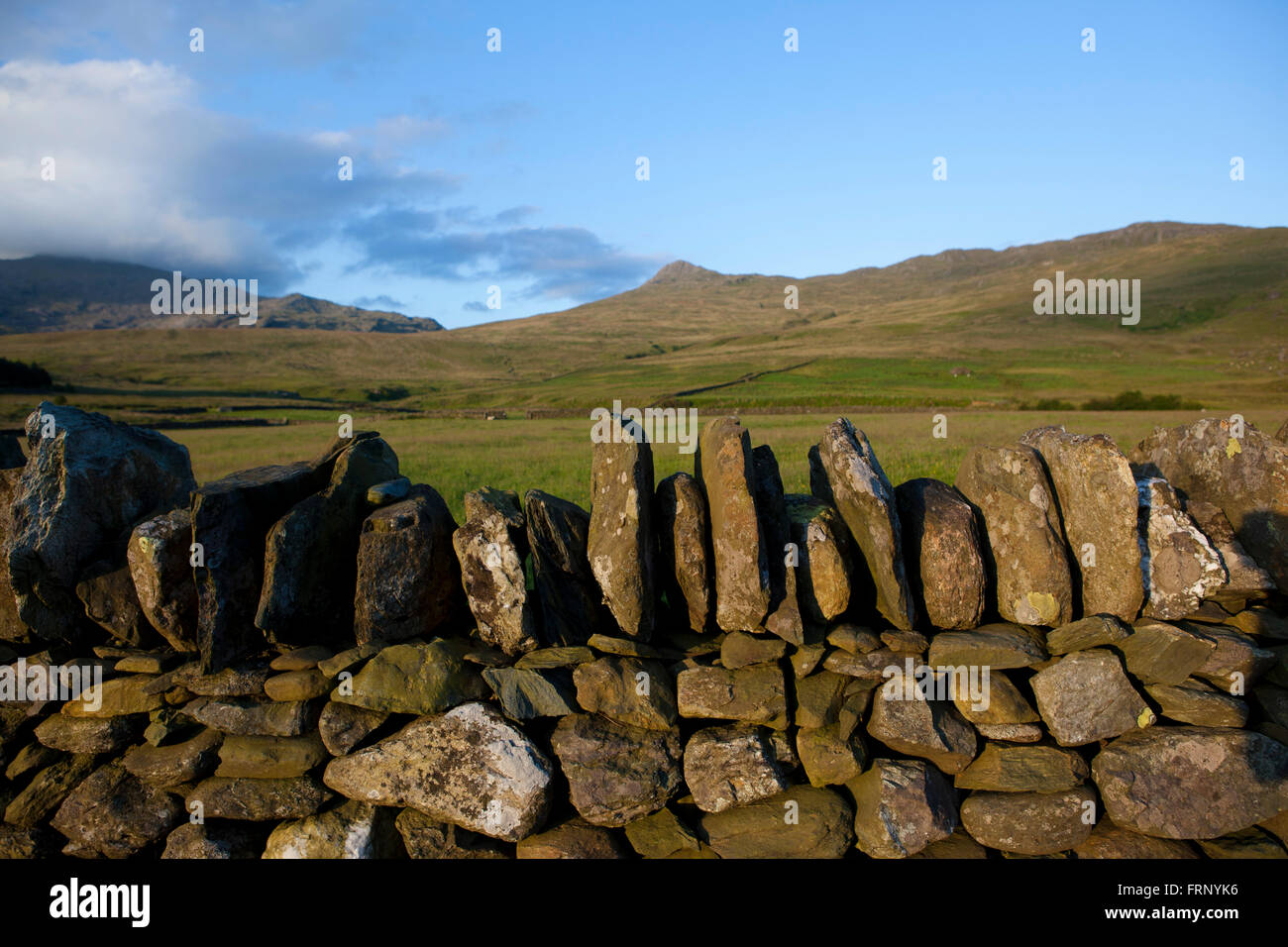 Looking out over a rural landscape with dry stone wall in the mountains of Snowdonia wales as ...