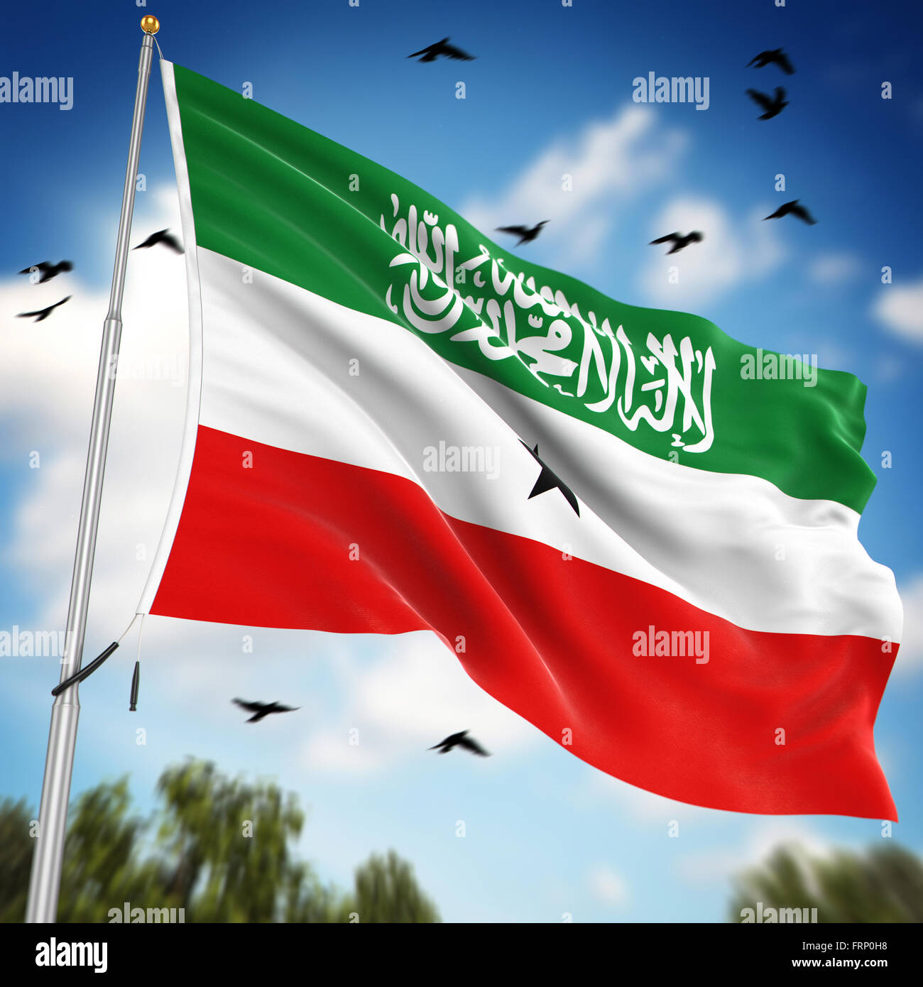 Somaliland flag hi-res stock photography and images - Alamy