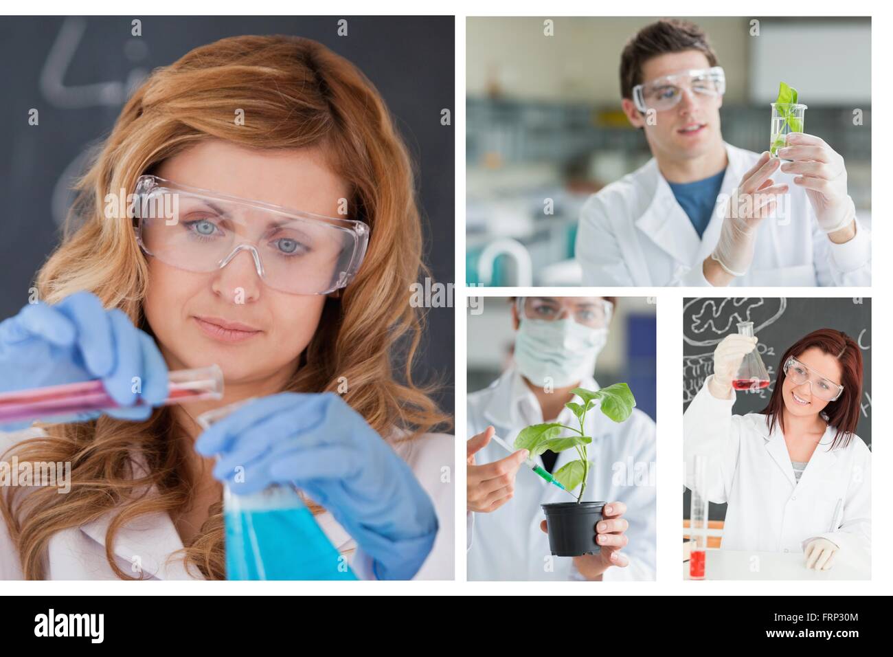 Scientific research collage hi-res stock photography and images - Alamy