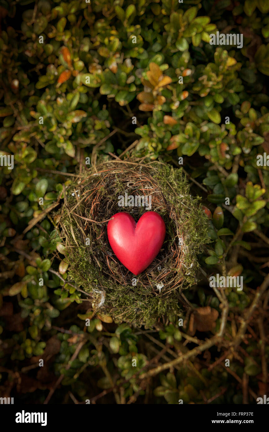red wooden heart shape in bird nest Stock Photo - Alamy