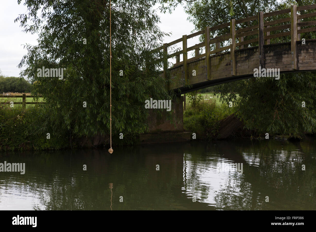 A knotted rope hanging from a tree over a river, used as a swing by ...
