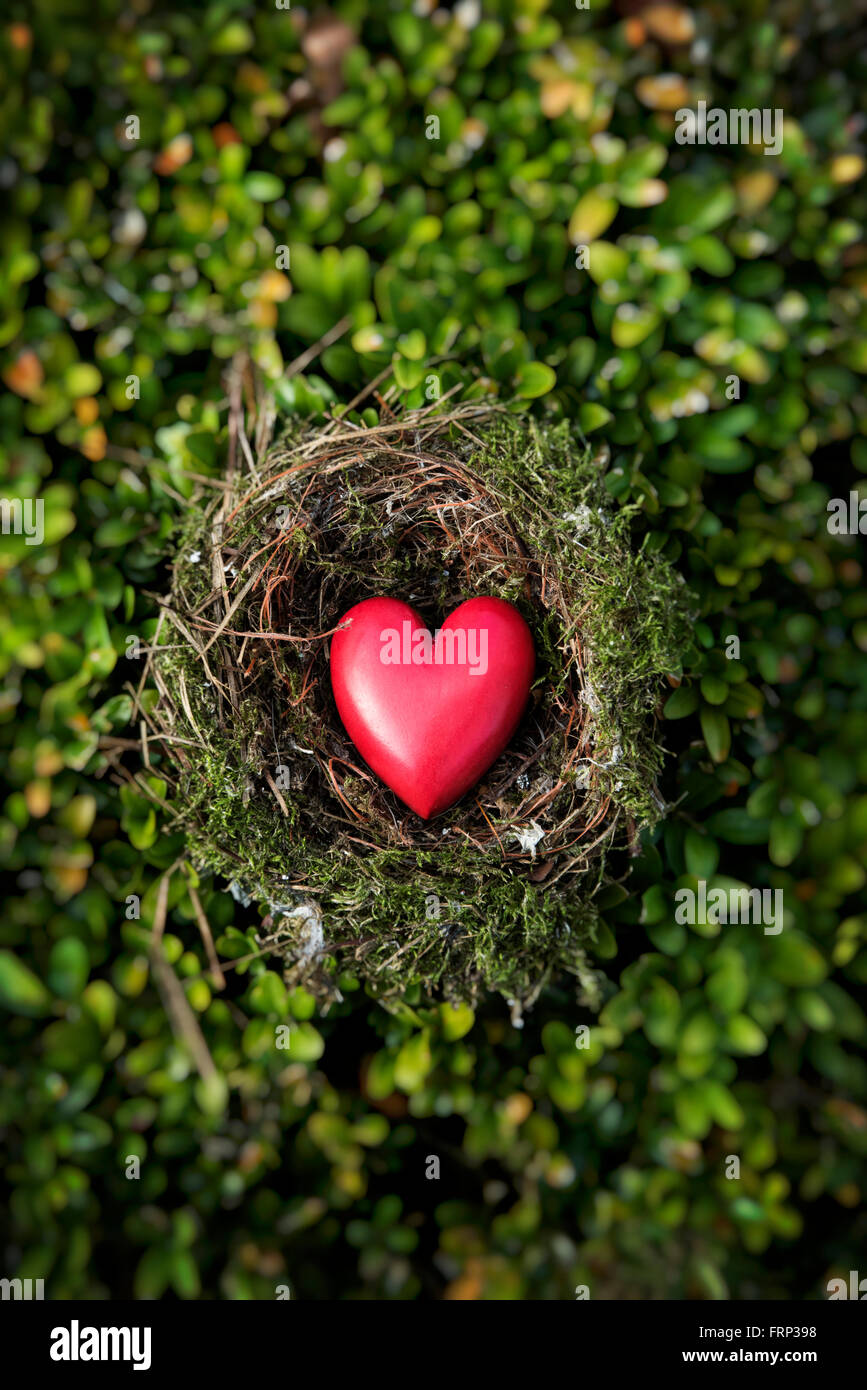 red wooden heart shape in bird nest Stock Photo - Alamy