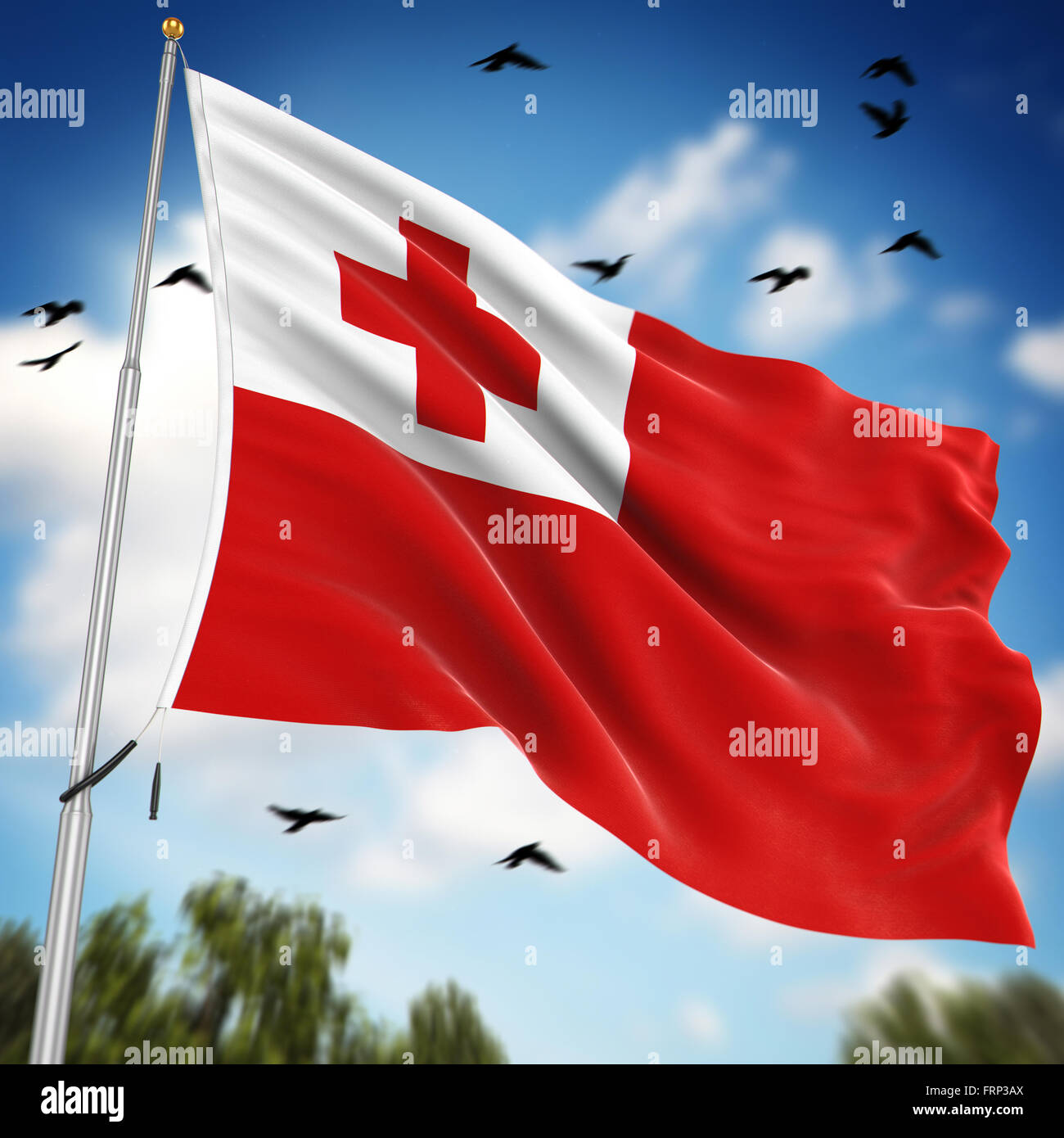 Tonga flag hi-res stock photography and images - Alamy