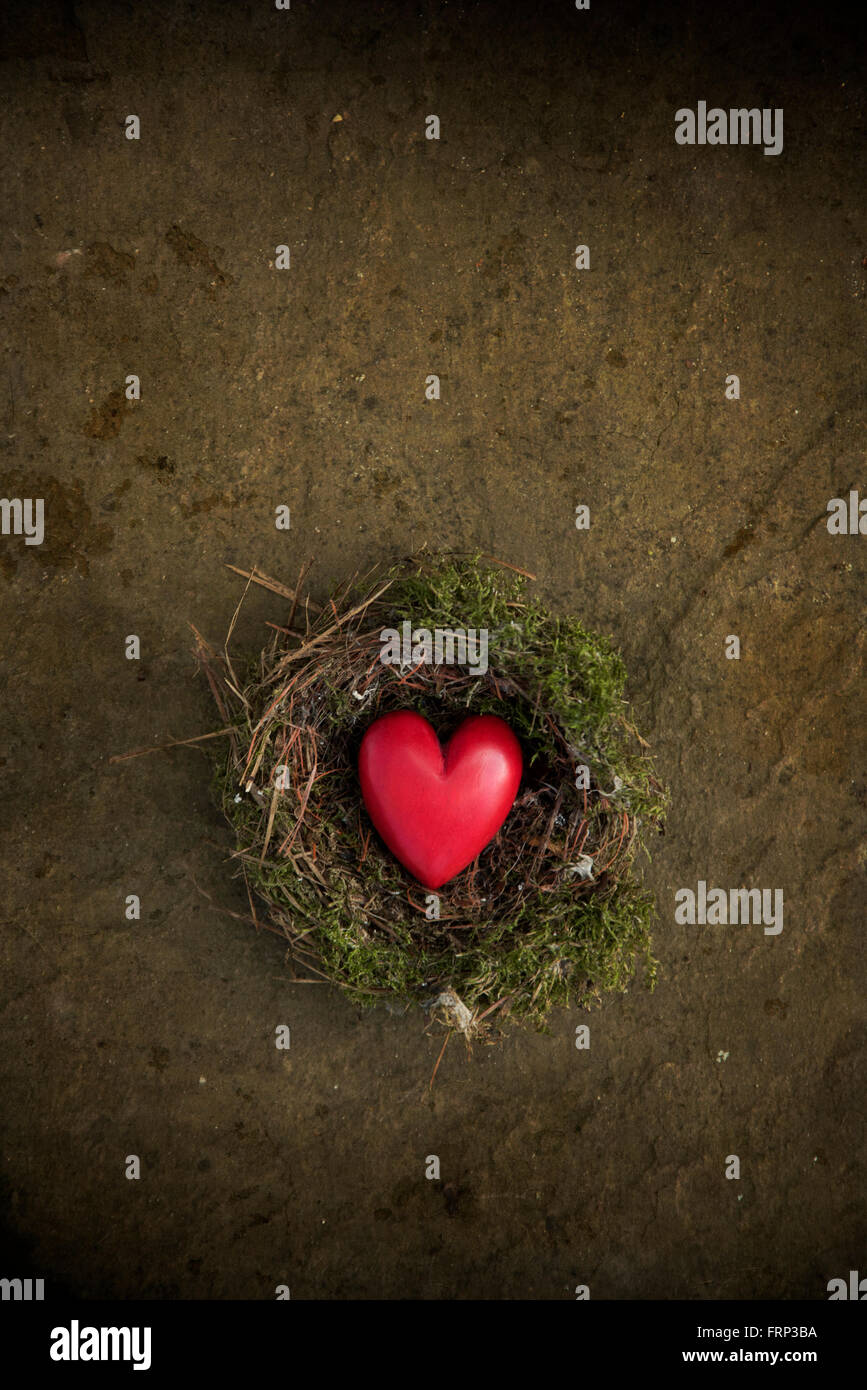 red wooden heart shape in bird nest Stock Photo - Alamy