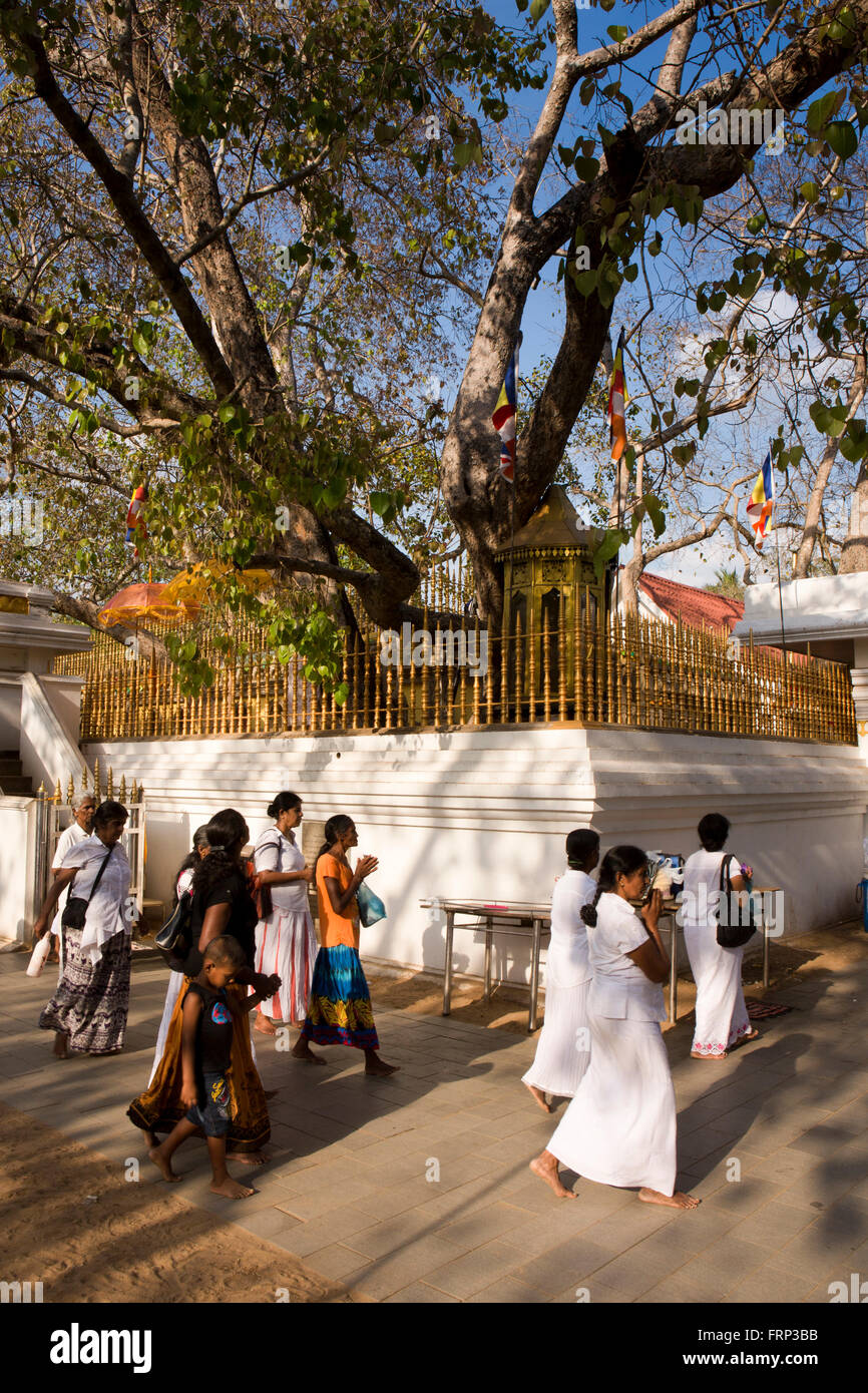 Sri Lanka, Anuradhapura, Sri Maha Bodi temple, sacred Bo tree, with ...