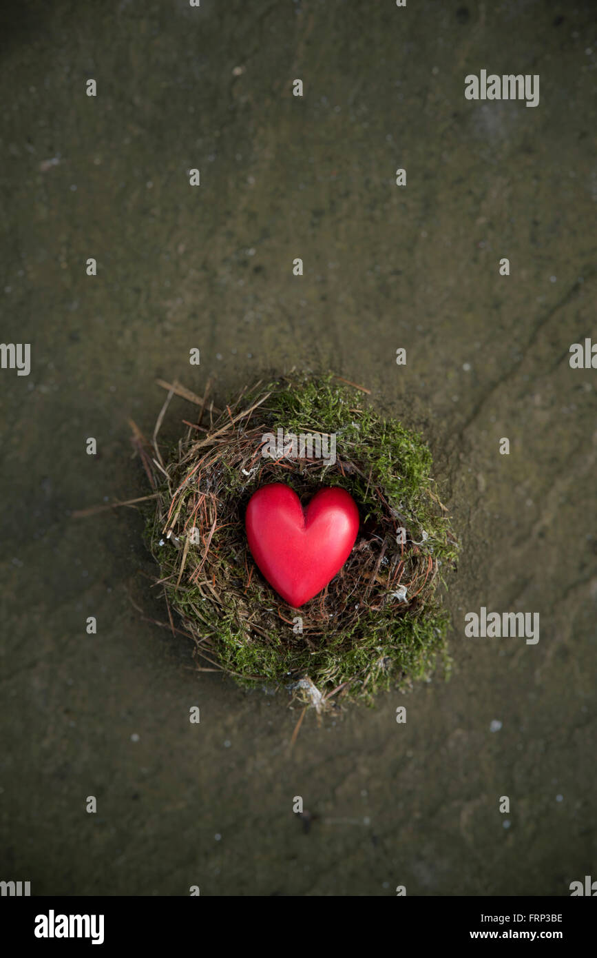 red wooden heart shape in bird nest Stock Photo - Alamy