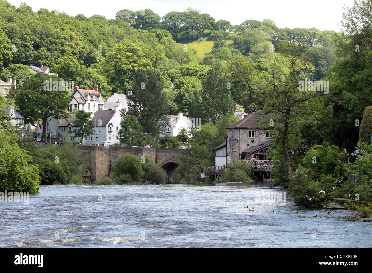 River Dee flowing towards Llangollen bridge Wales Stock Photo - Alamy