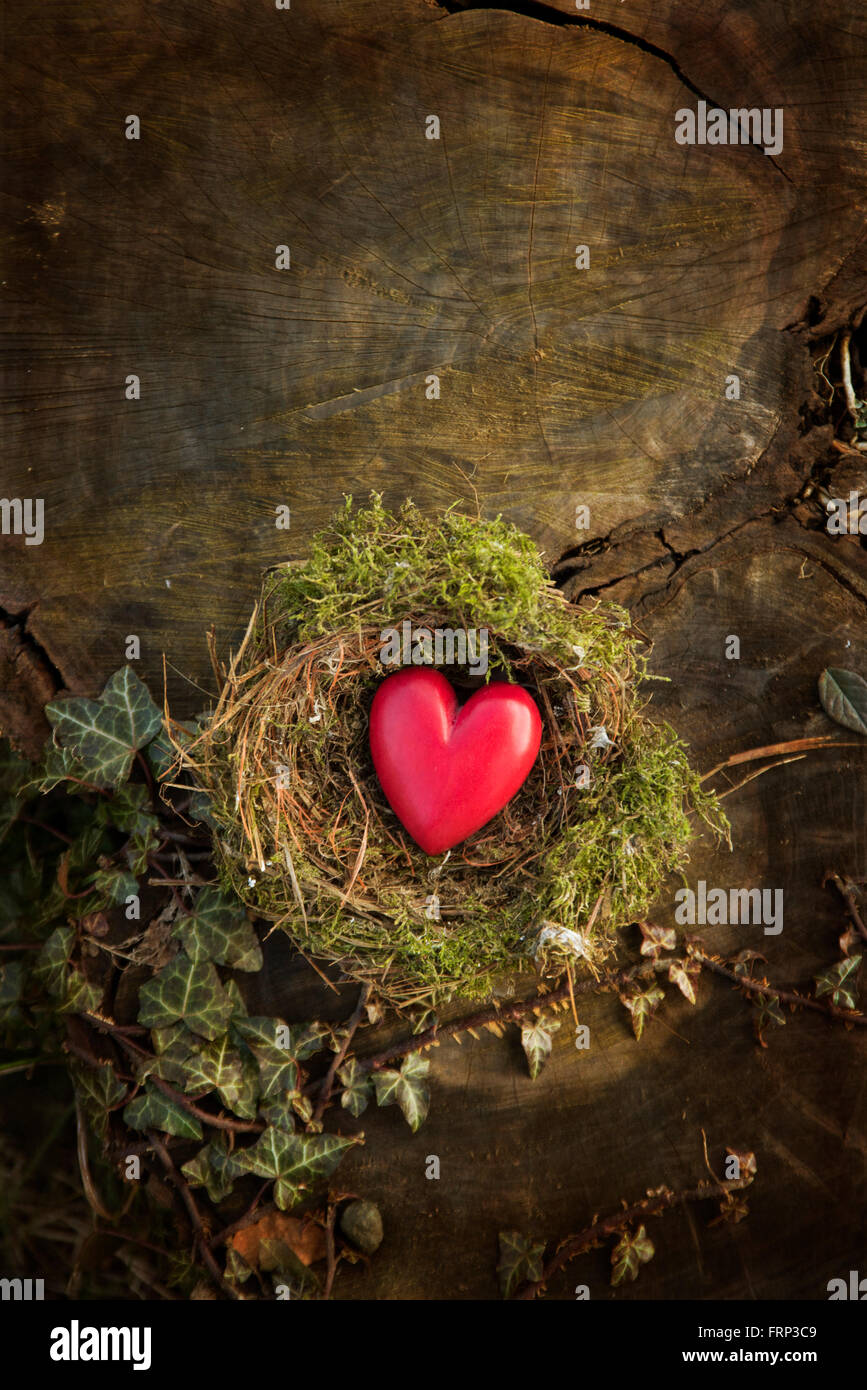 red wooden heart shape in bird nest Stock Photo - Alamy