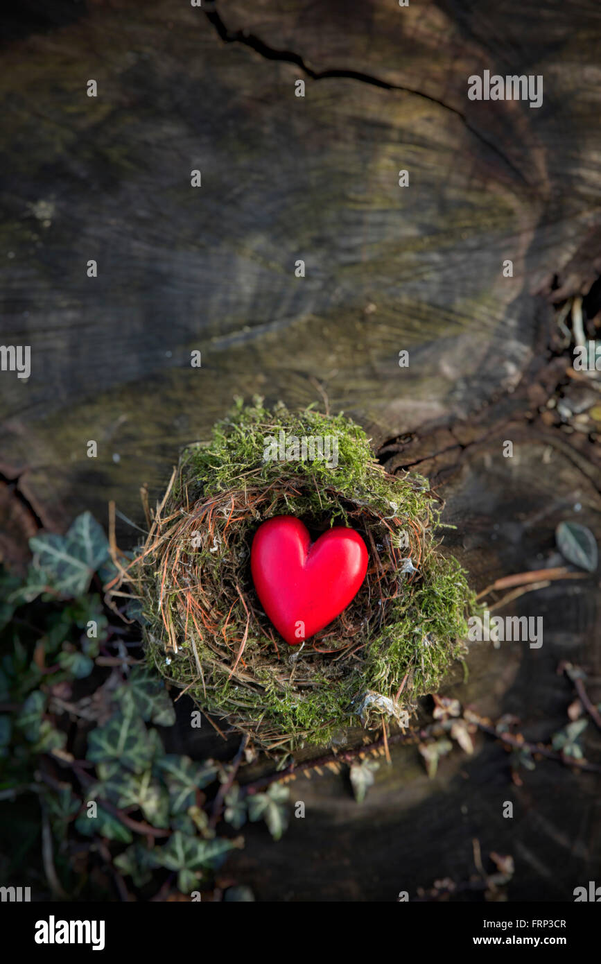 Nest shape hi-res stock photography and images - Alamy