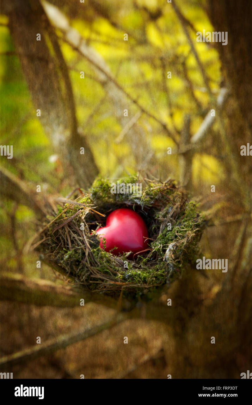 red wooden heart shape in bird nest Stock Photo - Alamy