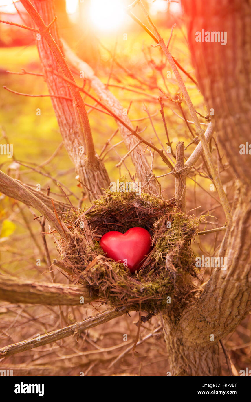 red wooden heart shape in bird nest Stock Photo - Alamy