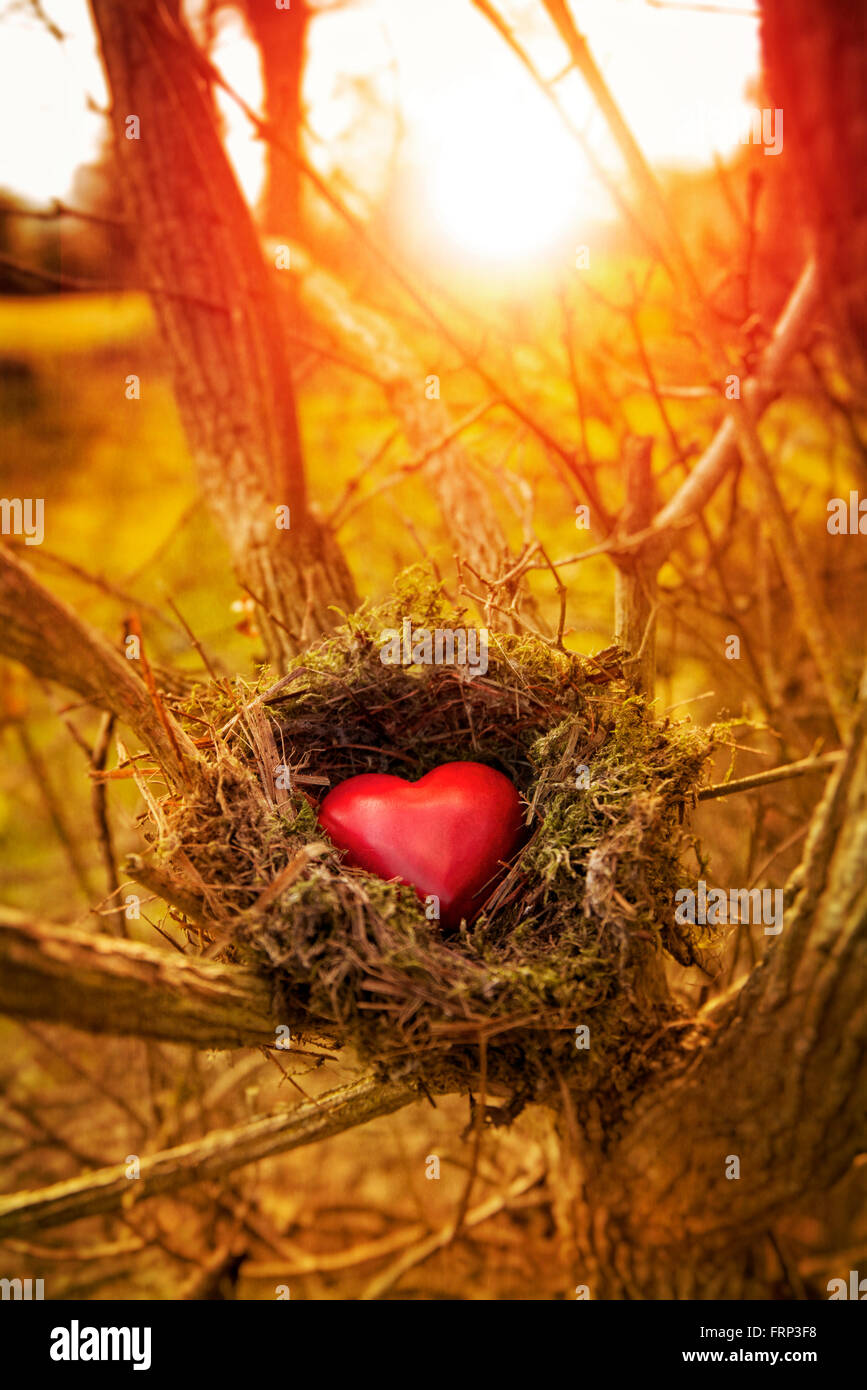 red wooden heart shape in bird nest Stock Photo - Alamy
