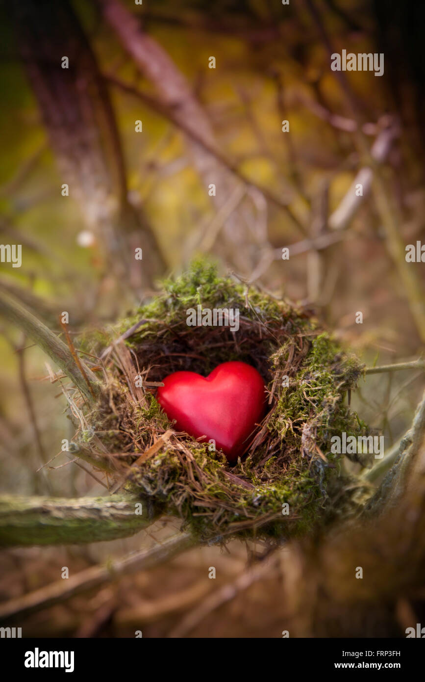 Heart shape bird nest hi-res stock photography and images - Alamy
