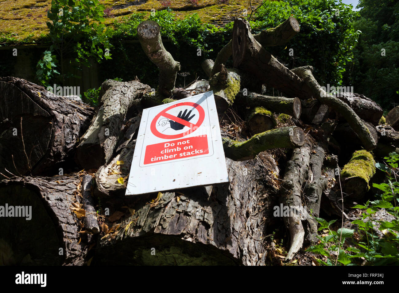 Dangerous log pile hi-res stock photography and images - Alamy