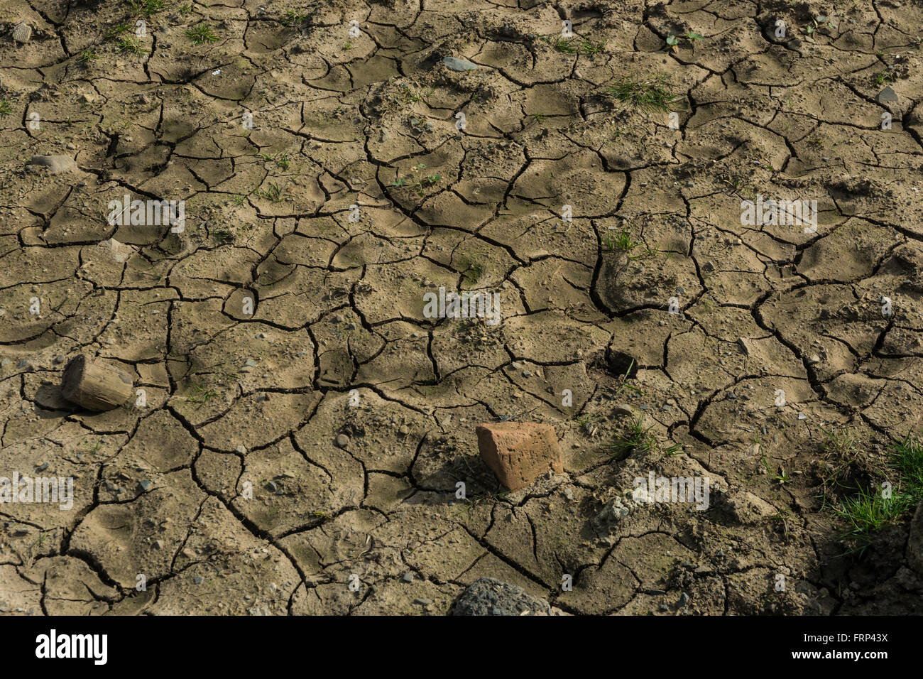 Texture of dried mud dried field hi-res stock photography and images ...