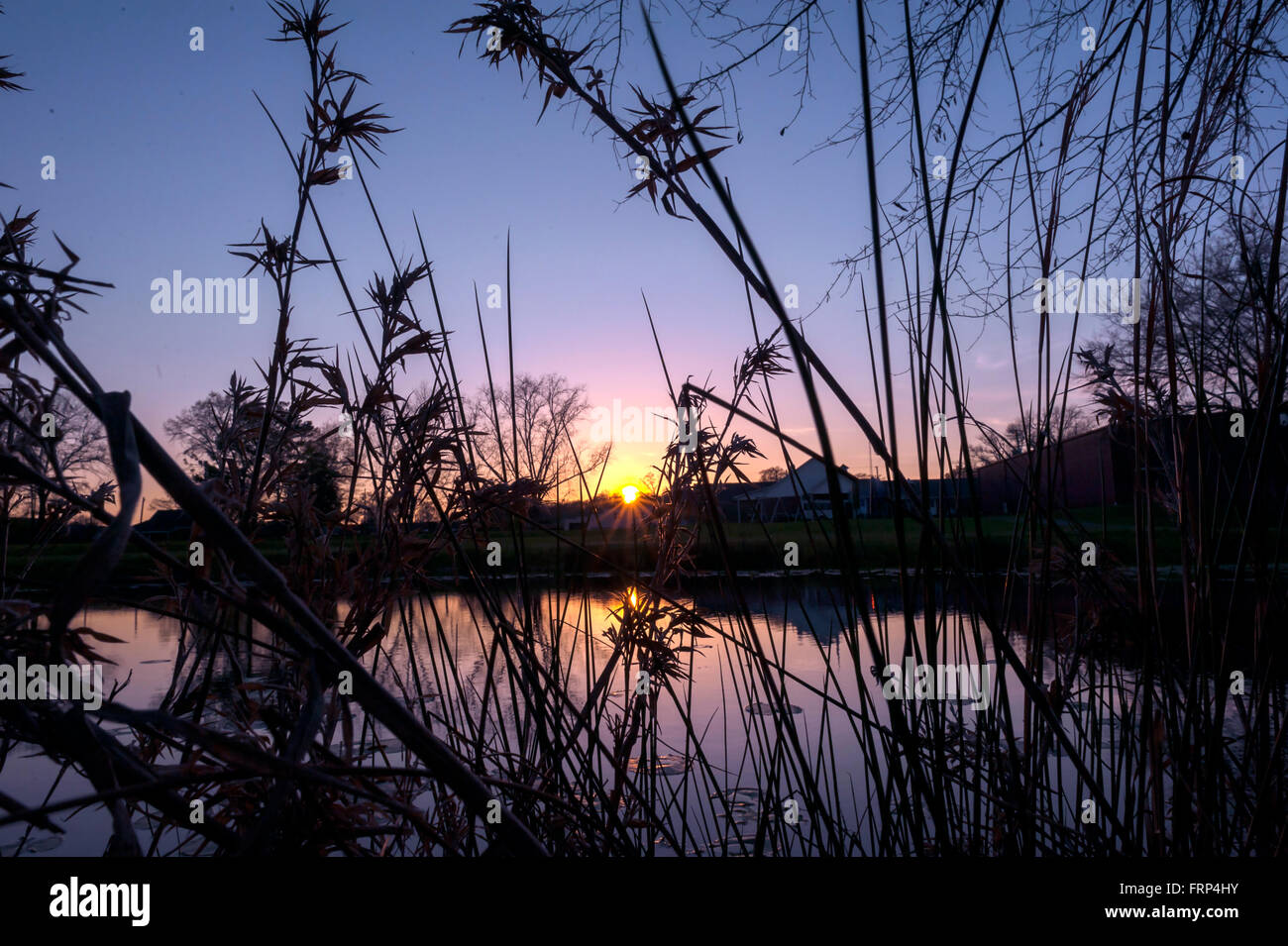 Sunset in Vernon, Alabama Stock Photo - Alamy