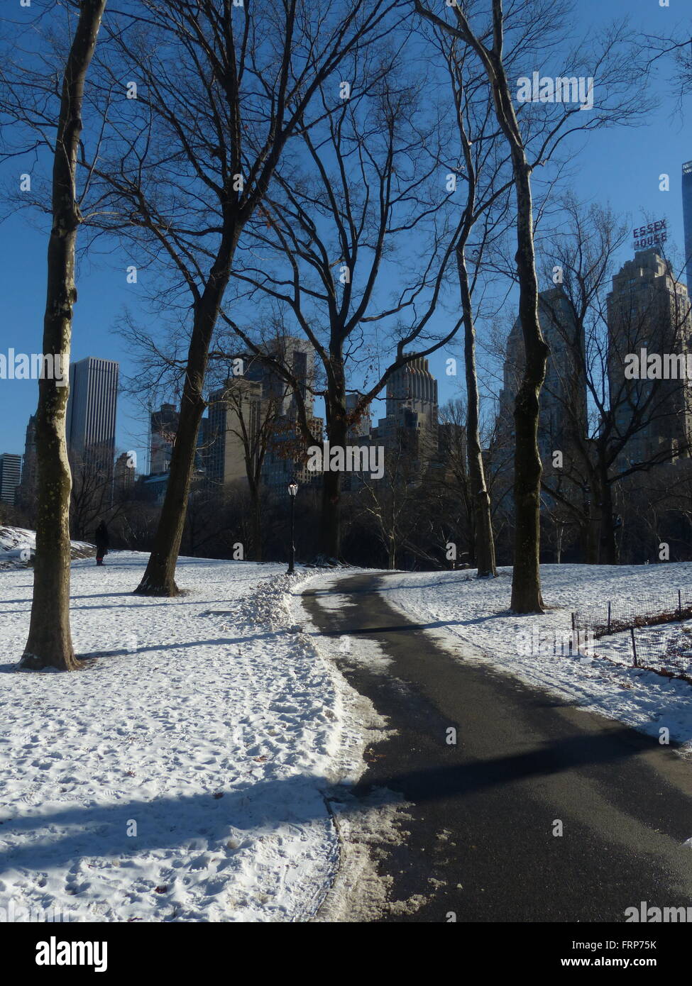 Snow in Central Park Stock Photo - Alamy