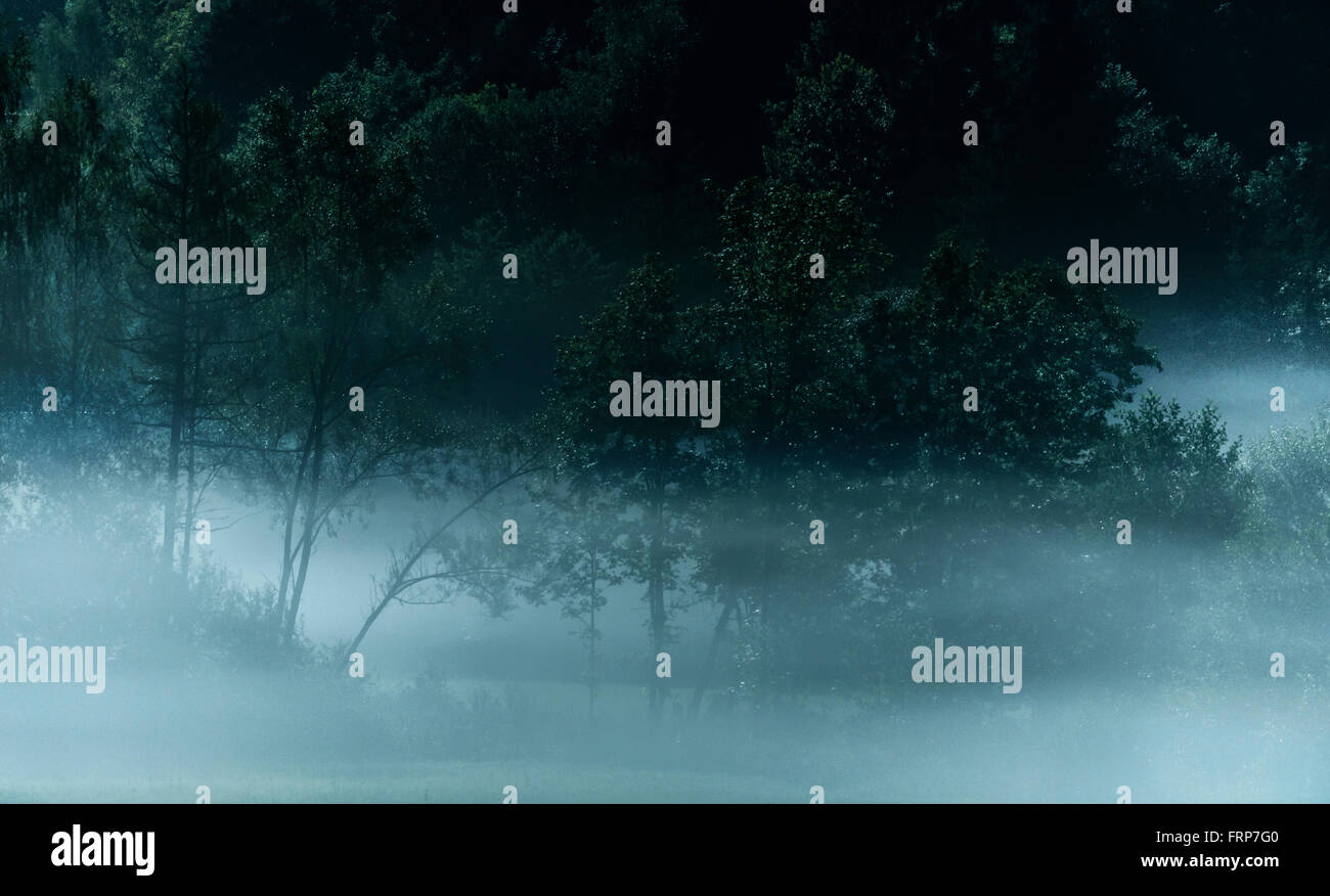 Thick fog creates mystic sight Stock Photo - Alamy