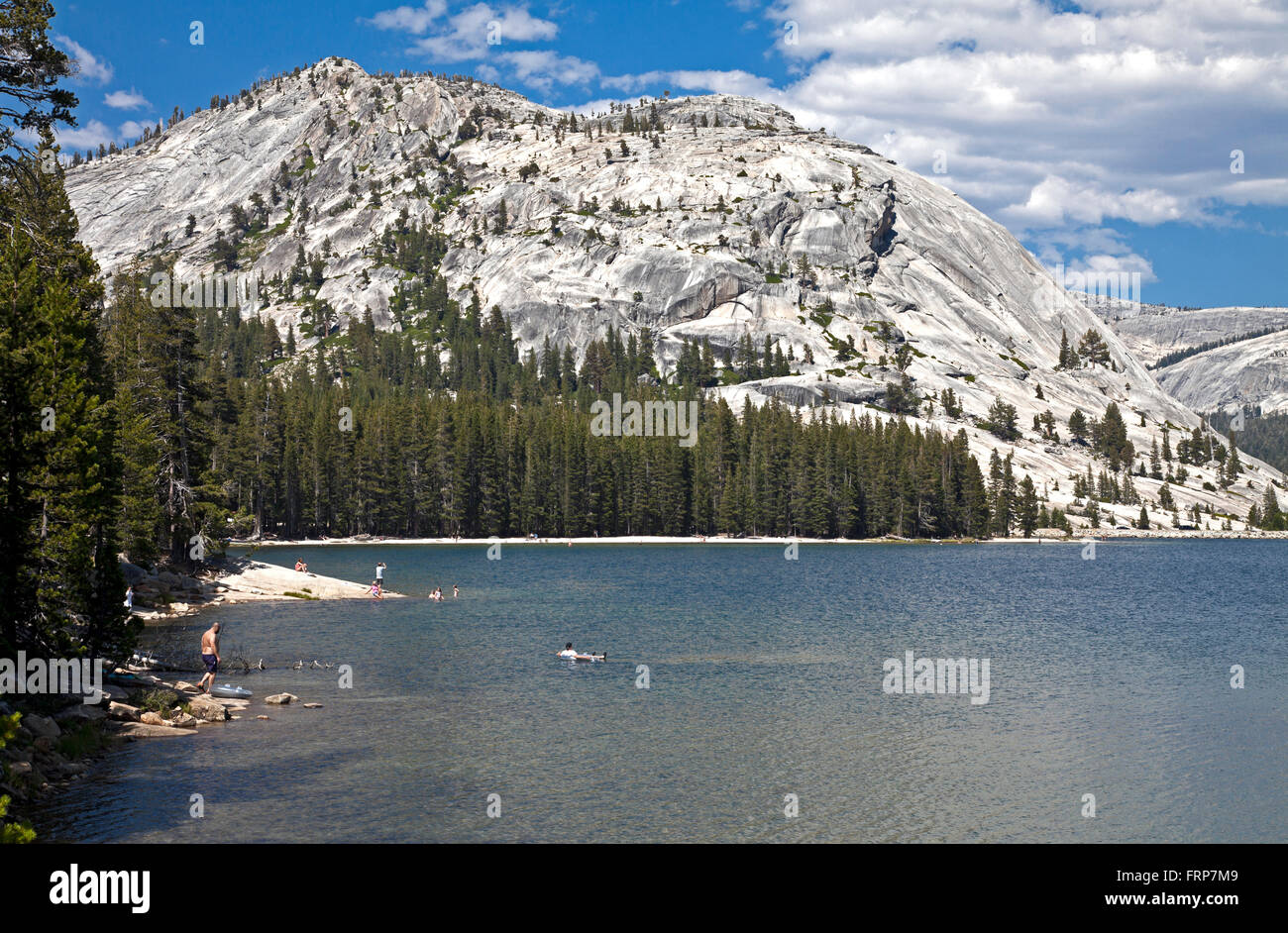 Tenaya Lake, Yosemite National Park, California Stock Photo - Alamy