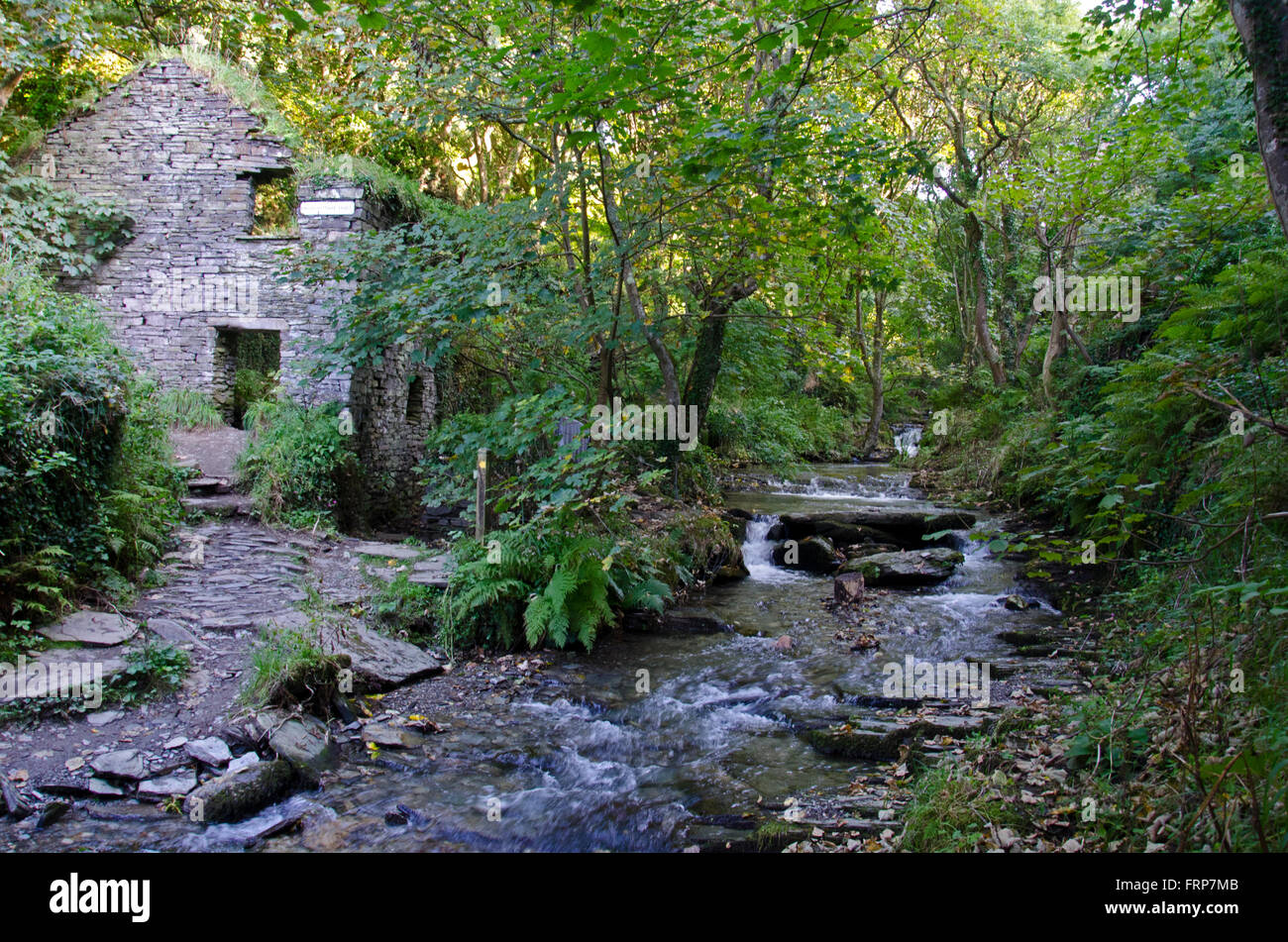Old Water Mill in the Valley of Rocks, Cornwall Stock Photo - Alamy