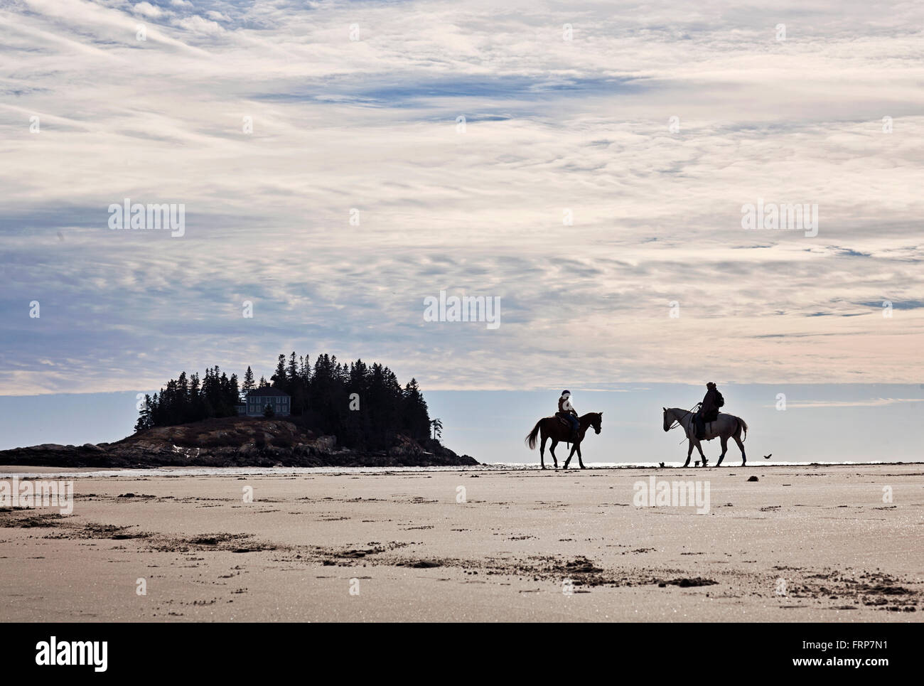 Two people ride horses down a sandy Maine beach Stock Photo - Alamy
