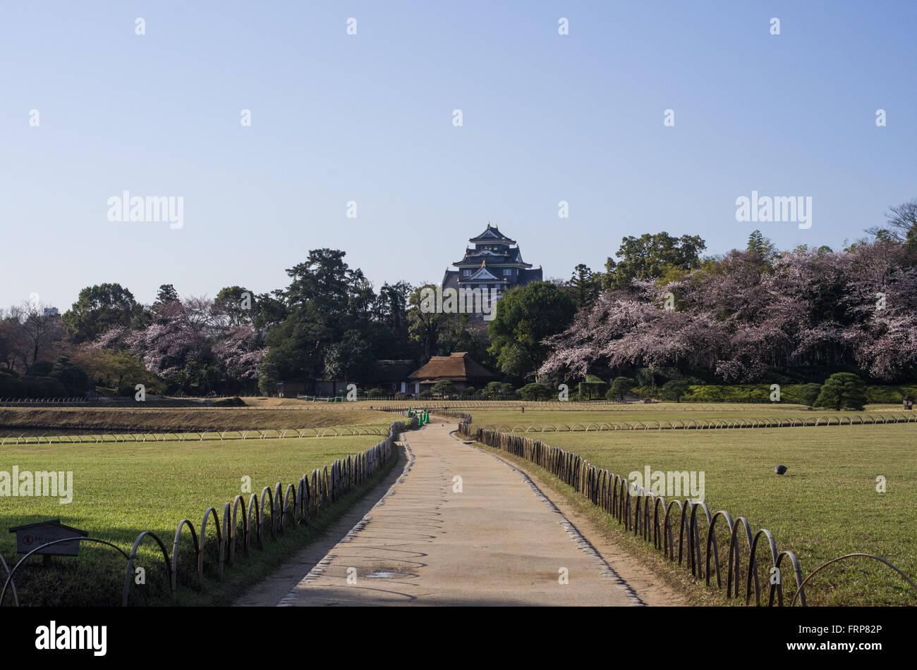 Korakuen Garden with Okayama Castle in the background, Okayama, Japan ...