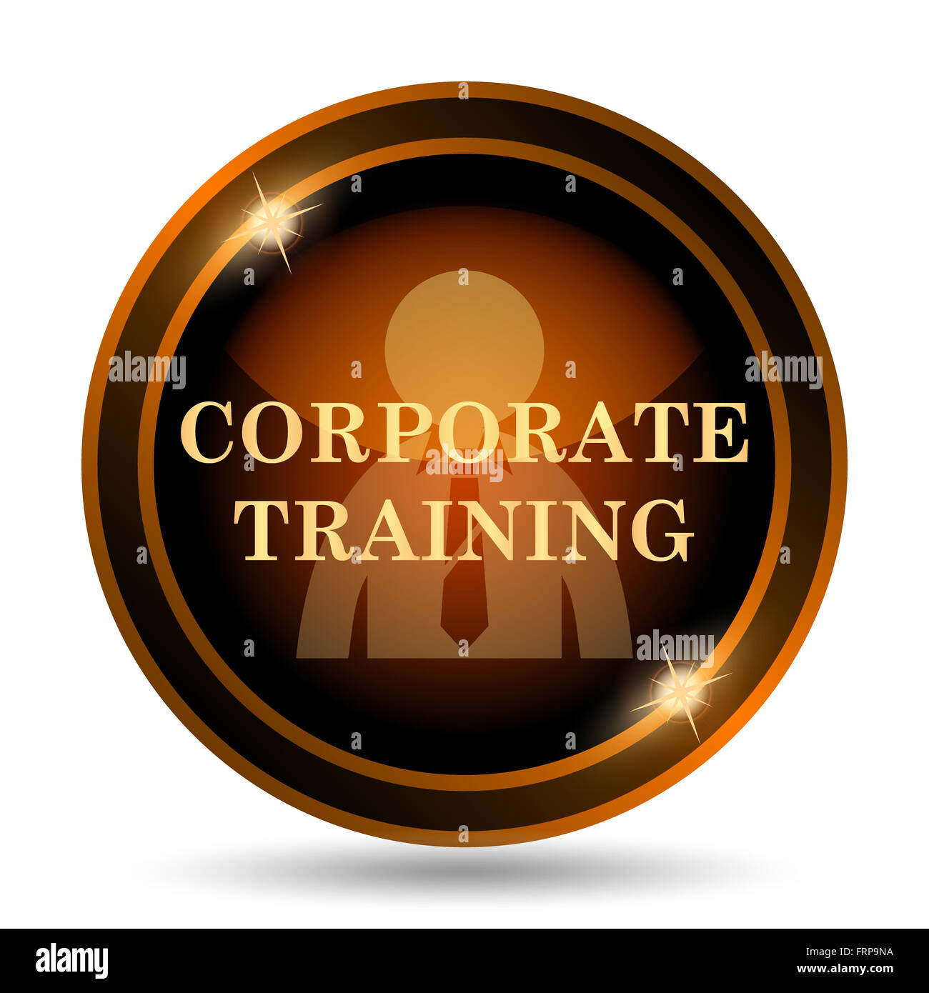 Corporate training icon. Internet button on white background Stock ...