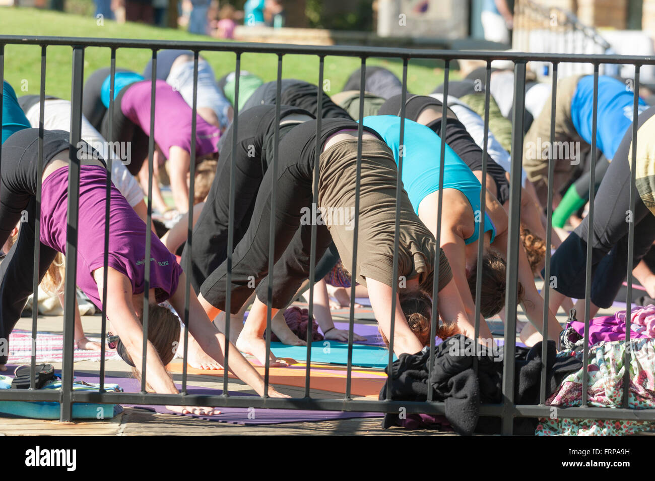 Group yoga activity at a public park Stock Photo - Alamy